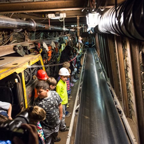 Besucherstollen | Museum